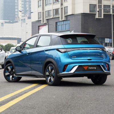 Cina 2021 2022 BYD E2 GS Dolphin Auto elettrica Prodotta in e con 5 porte 5 sedili struttura del corpo in vendita