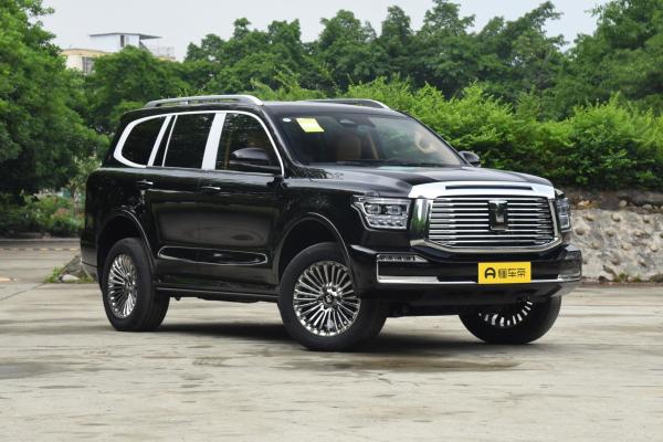 Quality Displacement 1.5-2.0L Metal Roof Rack for 2022 Large SUV Automobile Tank500 Made for sale