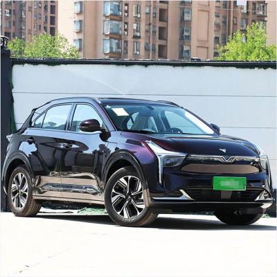 Cina High Speed Neta Auto elettrica Veicoli energetici Hozon Neta U 400 500 610 Pro Global Version in vendita