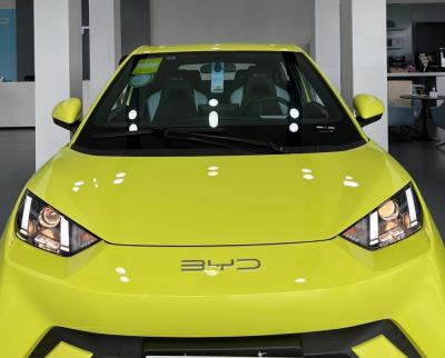 Cina Veicolo energetico Byd Gabbiano 305km Piccola auto con 5 posti e batteria al litio ferro fosfato in vendita
