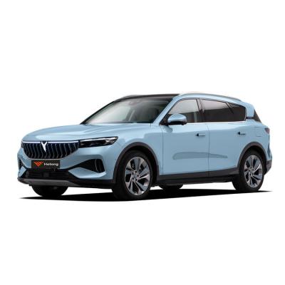Cina 2023 4WD VOYAH GRATUITO Extended Range Esclusivo Luxury Electric Car ev suv puro 505kw 631kw in vendita