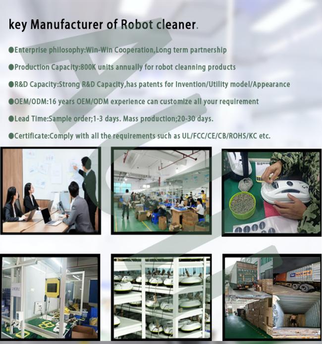 Company advantages infographic