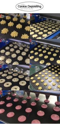 China Online Support After Service 400kg Automatic Universal Depositor Biscuit Making Machine for sale