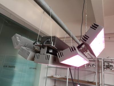 China 150W adjust plant lightt LED Growing Light for Medical Plants led Plant hanging plant light，spot adjust led plant light for sale