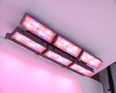 China 300W NR, XL spectrum light Adjust plant light LED Growing Light  for  foliage plants  hanging plant light for sale
