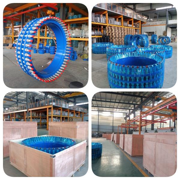 Quality C2F Double Expansion Joint Flange Limit Expansion Carbon Steel Ductile Iron for sale