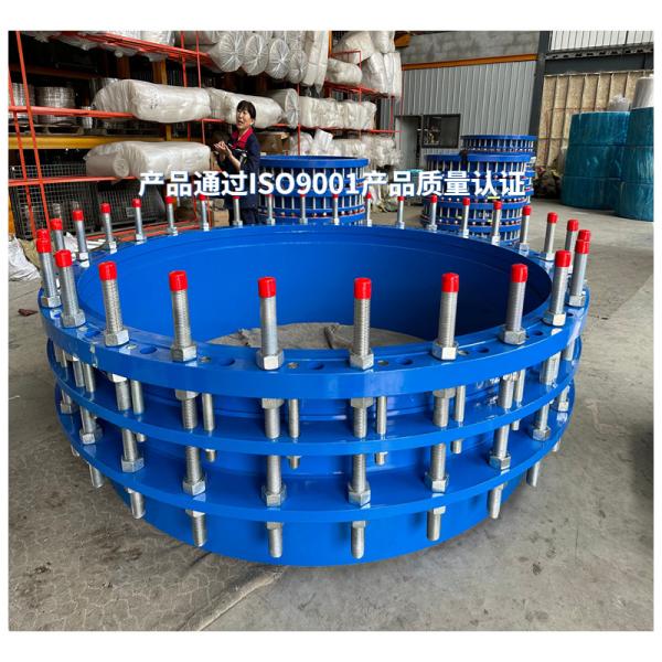 Quality dn600 dn300 dn200 flange dismantling joint Pipe Fittings Forged Double Flange for sale