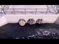 Industrial Wastewater Discharge Flanged Corrosion And Wear Resistant Epdm Duckbill Rubber Non-Return