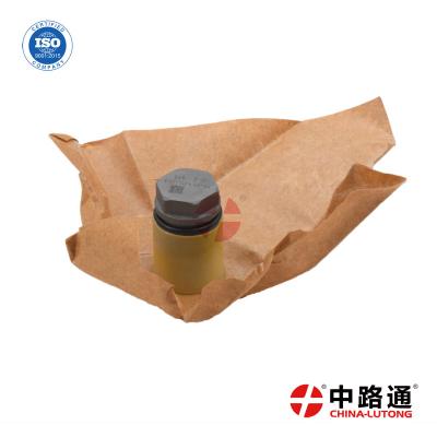 China Hydraulic Fuel Rail Pressure Relief Limiter Valve 1110010008 pressure limiting valve common rail for sale