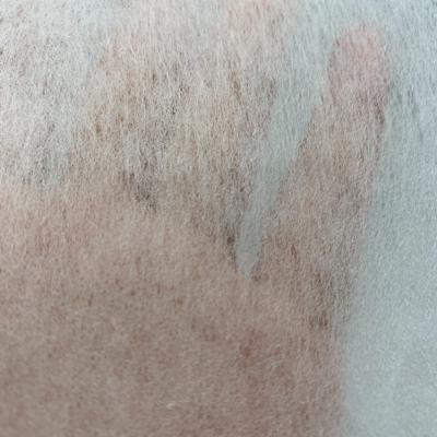 Cina Tessuti fusibili non tessuti con doppio/unico punto in vendita