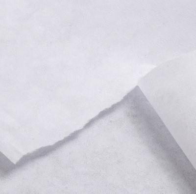 China 20-80GSM Tecido não tecido de poliéster de dupla ponta 100% à venda