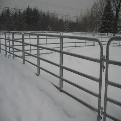 China 3m Length Cattle Panel Fence Color Coated Wire Livestock Panels for sale