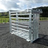 China Customized Cattle Head Crush Galvanized Cattle Clipping Crush for sale