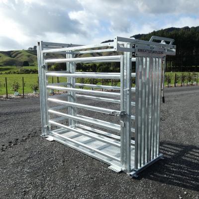 China Customized Cattle Head Crush Galvanized Cattle Clipping Crush for sale