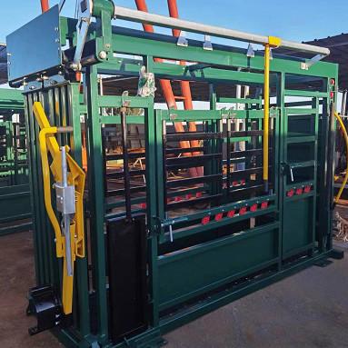 China Powder Coated Cow Crush Rectangle Cattle Crush With Scales Heavy Duty for sale
