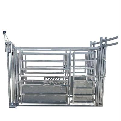 China Welded 1.8m Height Powder Coating Cattle Handling Equipment Ranches for sale