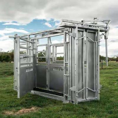 China Livestock Cattle Crush With Weigh Scales Customization Cow Crush for sale