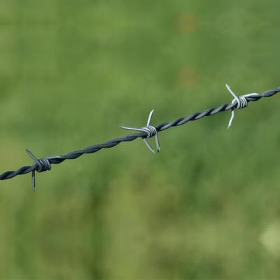 China Roll Single Twisted Concertina Barbed Wire Neat And Bright In Color for sale