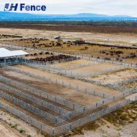 China Modular Cattle Panel System: Versatile & Quick-Connect Design for Custom Corrals, Pens, and Sorting Alleys for sale
