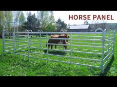 Horse Panel Product Promotional Video 01