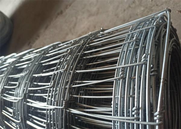 Corrosion Resistant Square Hole Field Fence For Agricultural Use
