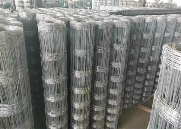 Quality Hinge Joint Field Fence For Cattle for sale