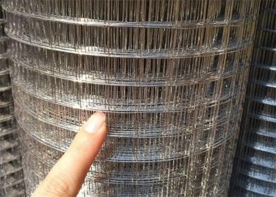 China 1/4 Inch PVC Coated Welded Wire Mesh Rolls ,  Architectural Wire Mesh For Green Building for sale