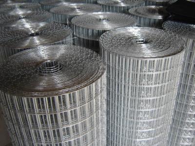 Cina 3 mm di rete di filo di ferro saldato per la costruzione 1/2 x 1/2 pollici per l'industria / agricoltura in vendita