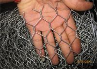 China Electro Galvanized Hexagonal Chicken Wire Mesh 1/2 to 2 Inch 18-30 Gauge for sale
