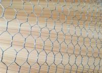 China Electro Galvanized Hexagonal Chicken Wire Mesh 1/2 to 2 Inch 18-30 Gauge for sale