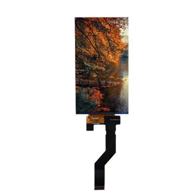 China OEM 5.98 Inch HD LCD TFT Display Module 1440x2560 MiPi Interface Display for sale