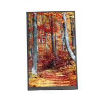 Quality High Definition 7 Inch LCD Display Screen 800x1280 400nits MIPI Interface for sale