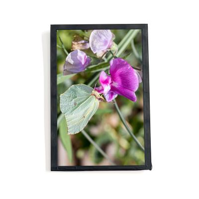 Cina 7 pollici HD TFT LCD Display Screen Risoluzione 1200x1920 Con luminosità 2000nits in vendita