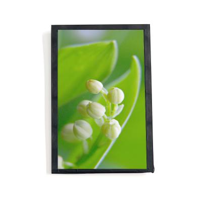 China 7 Inch High Brightness LCD Display 2000nits 40 Pin MIPI Interface IPS TFT LCD Module for sale