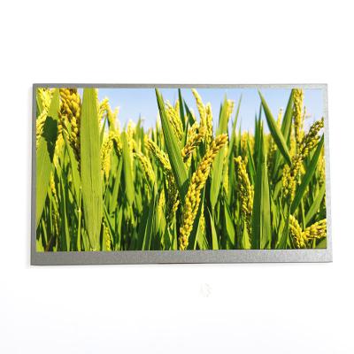China LVDS interface 1024x600 Resolution 10.1 Inch LCD Display Panel Optional Touch Panel for sale