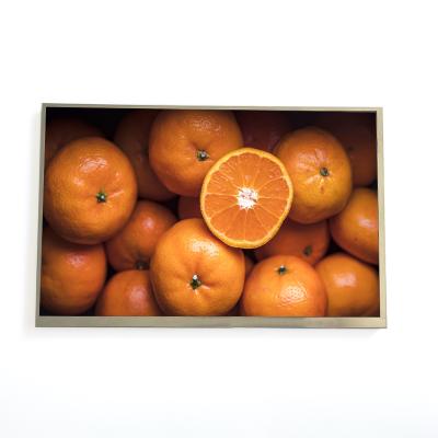 China High Brightness 10.1 inch IPS TFT LCD Display 1000nits LVDS Interface 1280x800 for sale