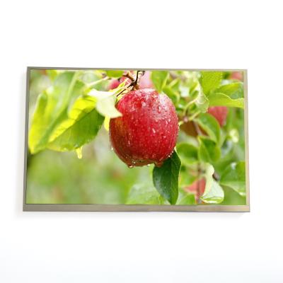 Cina Display LCD TFT HD da 10,1 pollici 1280x800 IPS con Luminosità 350nits Pannello Touch Opzionale in vendita