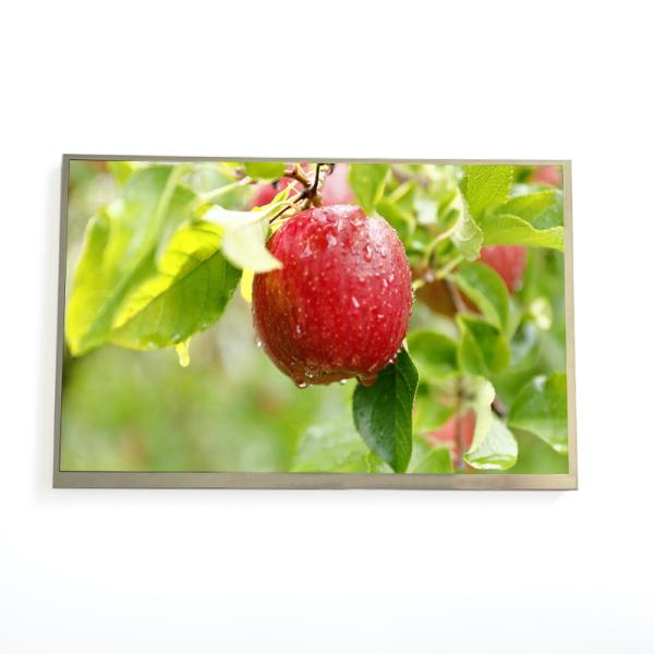 Quality 10.1 Inch HD TFT LCD Display 1280x800 IPS With Luminance 350nits Optional Touch Panel for sale