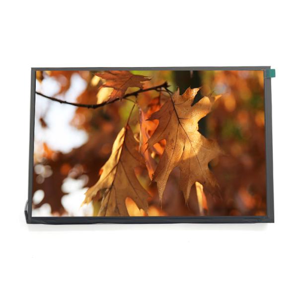 Quality 1920x1200 HD TFT LCD Display 10.1 Inch IPS Panel With LVDS Interface for sale
