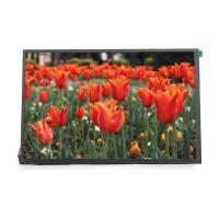 China 1920x1200 HD TFT LCD Display 10.1 Inch IPS Panel With LVDS Interface for sale