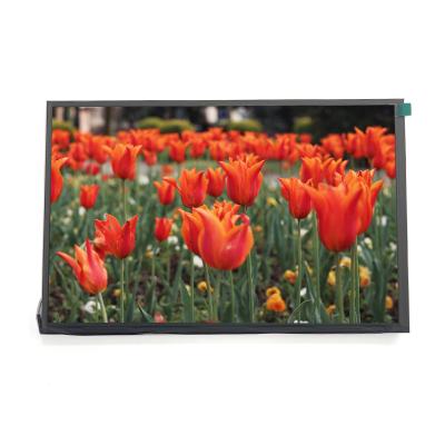 Cina Display LCD TFT HD 1920x1200 da 10,1 pollici con pannello IPS e interfaccia LVDS in vendita