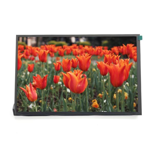 Quality 1920x1200 HD TFT LCD Display 10.1 Inch IPS Panel With LVDS Interface for sale