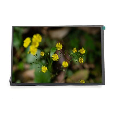China Industrial Control 10.1 Inch High Brightness LCD Display 1920x1200 Resolution for sale