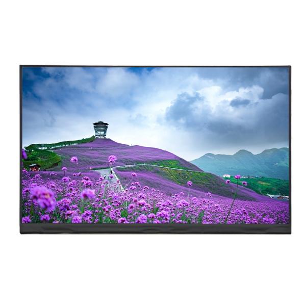Quality 2K Resolution 11.6 Inch IPS HD TFT LCD Display 1920x1080 With EDP Interface for sale