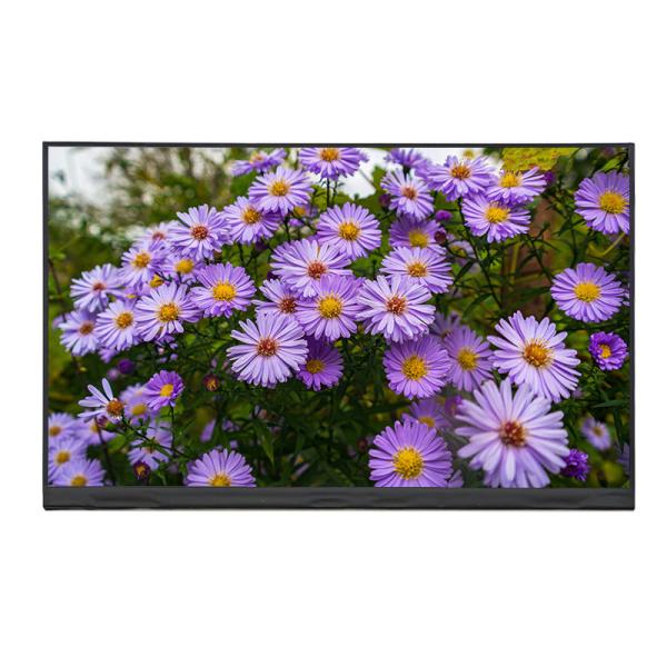 Quality 2K Resolution 11.6 Inch IPS HD TFT LCD Display 1920x1080 With EDP Interface for sale