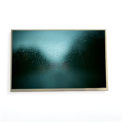 Cina Alto luminosità Display LCD TFT da 10,1 pollici 1000 Nits Pannello RTP a risoluzione HD in vendita