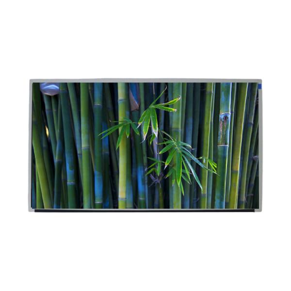 Quality TFT Screen 1000nits High Brightness LCD Display 15.6 Inch With EDP Interface for sale