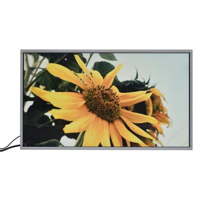 China 1080p 32 Inch TFT High Brightness LCD Display Panel With LVDS Interface 1920x1080 for sale
