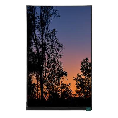 China 10.1 Inch TFT LCD Screen Display 800x1280 Resolution With MIPI Optional Touch for sale