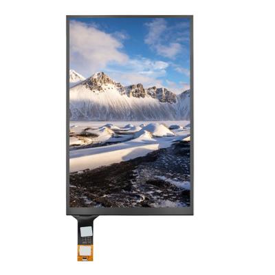 China 10.1 Inch TFT Touch Screen LCD Display 800x1280 Resolution MIPI LCD Panel for sale